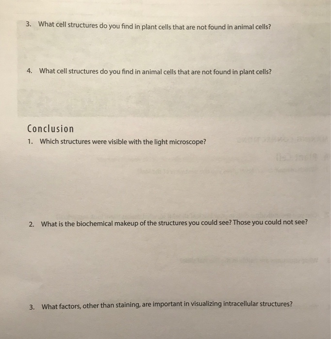 Solved What cell structures do you find in plant cells that | Chegg.com