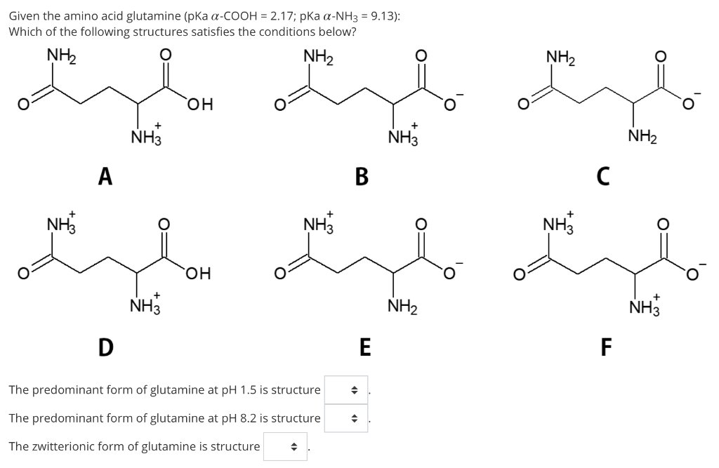 Solved Given the amino acid glutamine (pka a-COOH = 2.17; | Chegg.com