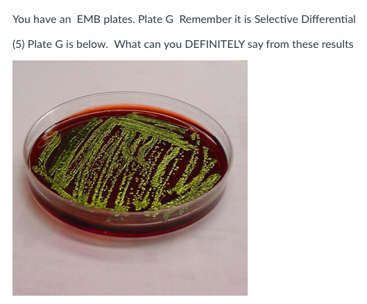 Solved You have an EMB plates. Plate G Remember it is | Chegg.com