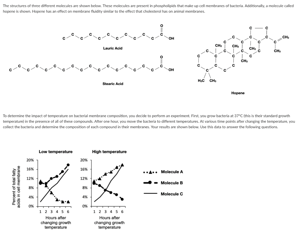 The Structures Of Three Different Molecules Are Shown