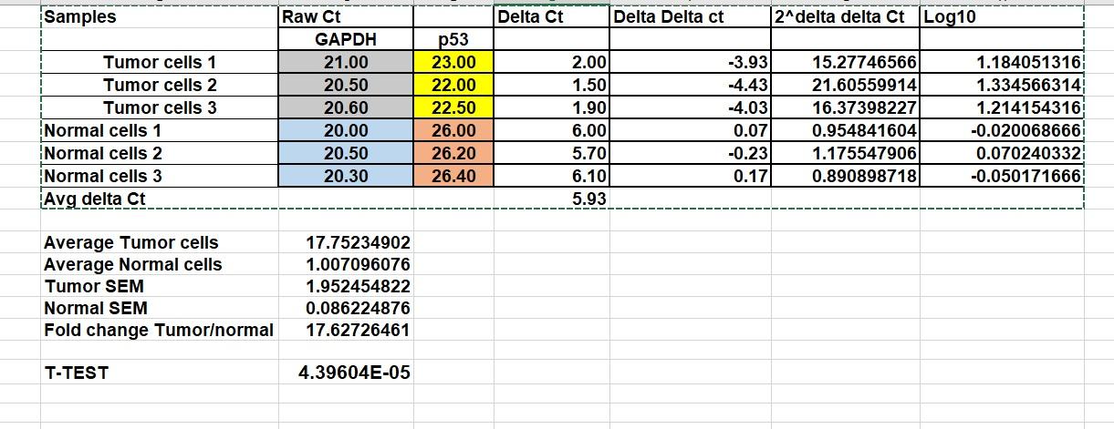 What is the fold difference between wild type and | Chegg.com