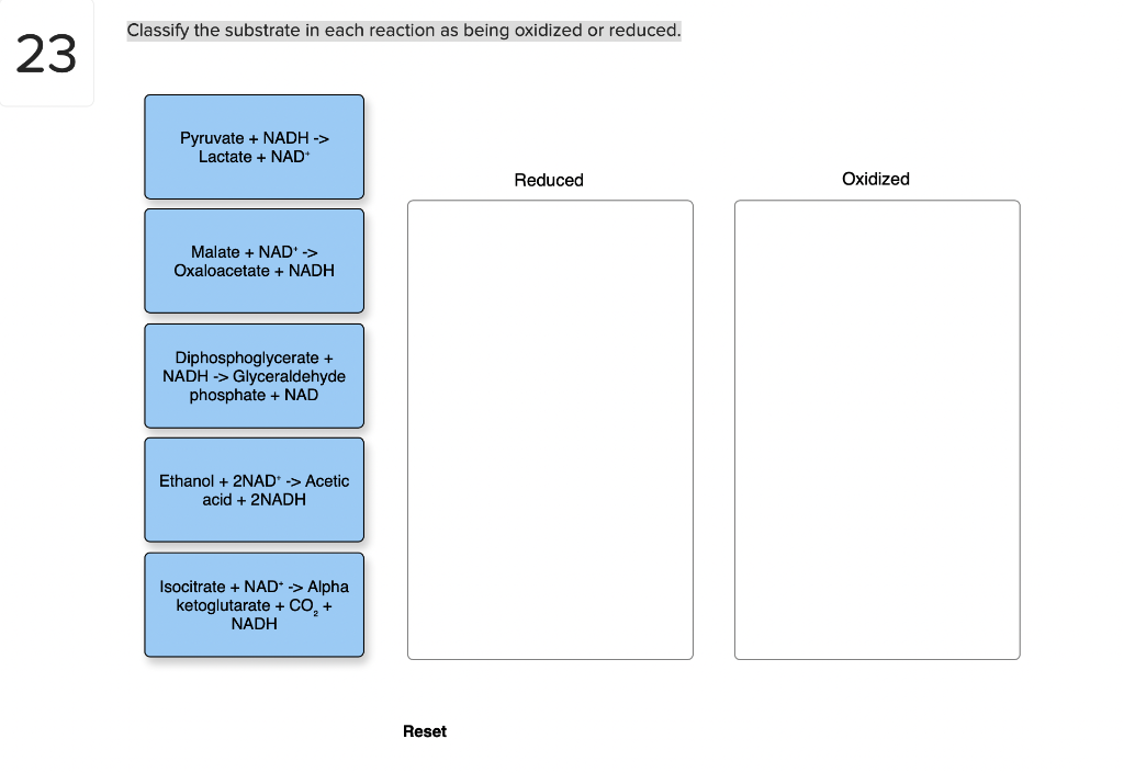 Solved 23 Classify the substrate in each reaction as being | Chegg.com
