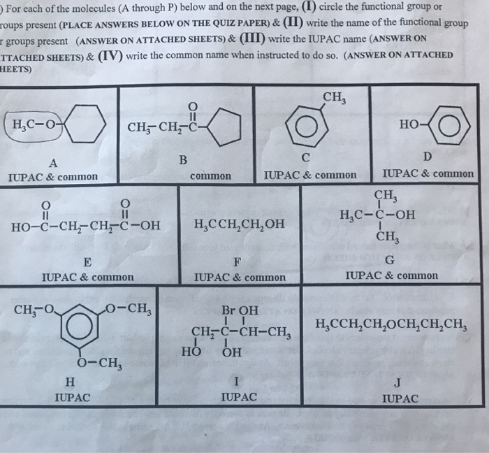 Solved For each of the molecules 1) circle the functional | Chegg.com