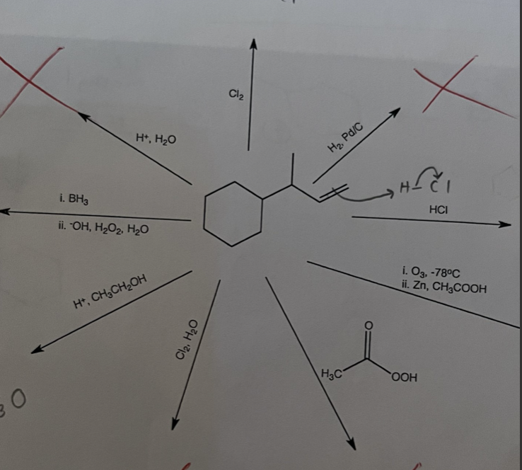 ii. - OH,H2O2,H2O | Chegg.com
