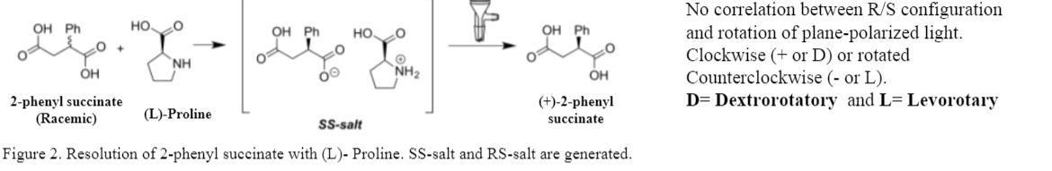 Solved The absolute configuration of (D/+)-proline is R. | Chegg.com
