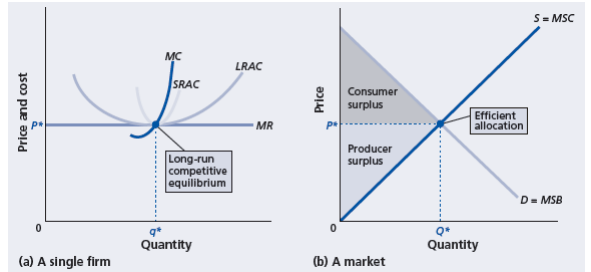 Solved Explain in detail allocative efficiency of the | Chegg.com