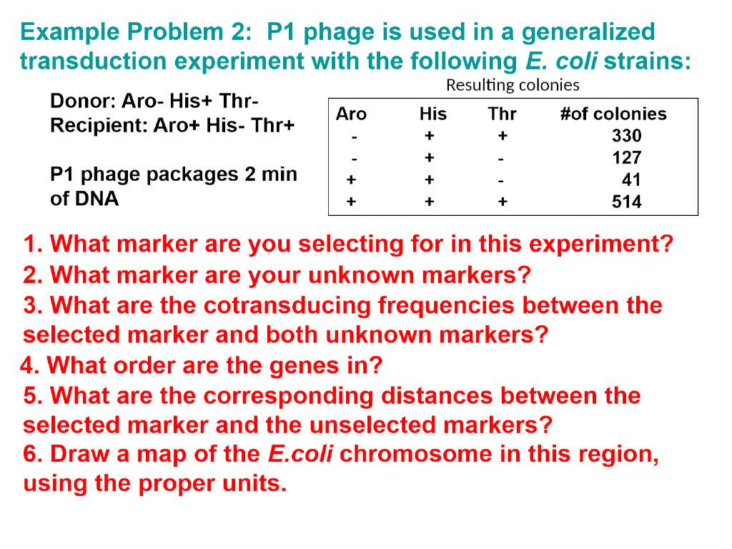 Solved Example Problem 2: P1 phage is used in a generalized | Chegg.com