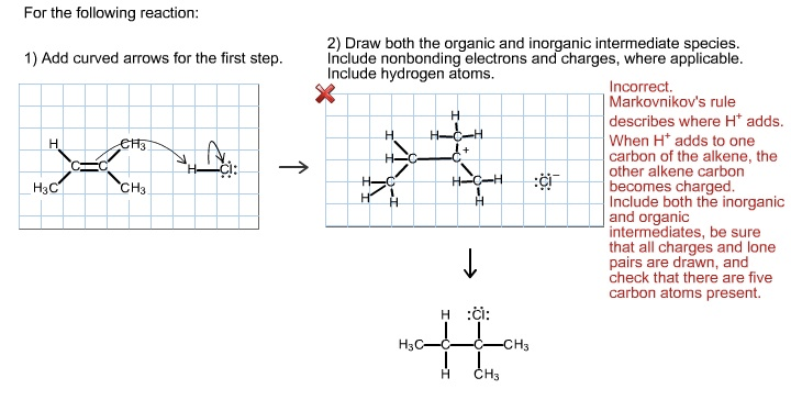Solved Draw both the organic and inorganic intermediate | Chegg.com