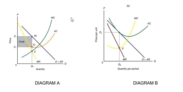 Solved Explain the long-run profit maximising position of | Chegg.com