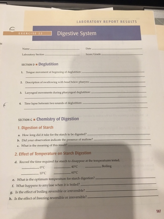 Solved LABORATORY REPORT RESULTS XERCISE 33 Digestive System | Chegg.com