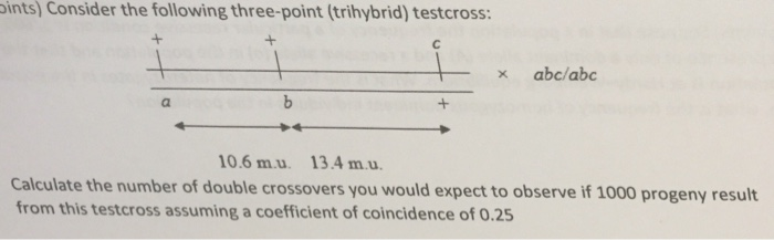 Solved ints) Consider the following three-point (trihybrid) | Chegg.com Solved ints) Consider the following three-point (trihybrid) | Chegg.com