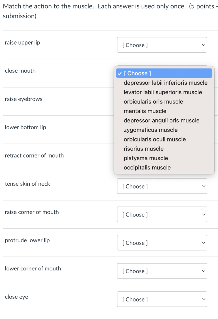 Solved Match the action to the muscle. Each answer is used | Chegg.com