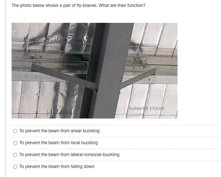 Solved The photo below shows a pair of fly-braces. What are | Chegg.com