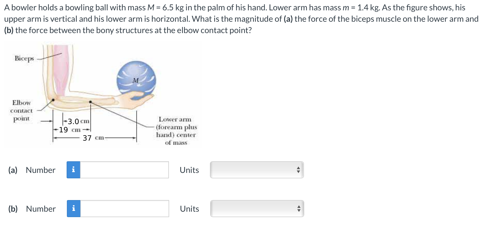 Solved A bowler holds a bowling ball with mass M=6.5 kg in | Chegg.com
