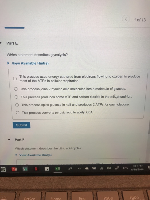 Solved 1 of 13 Part E Which statement describes glycolysis? | Chegg.com