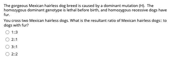 Solved The gorgeous Mexican hairless dog breed is caused by | Chegg.com