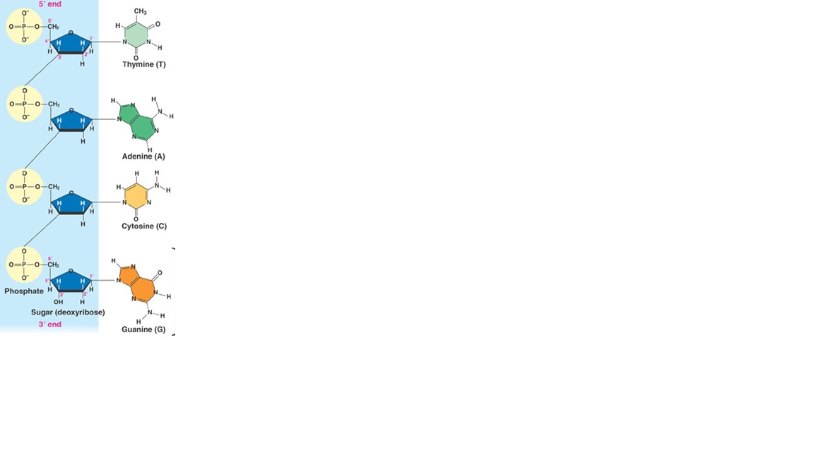 Solved Use the picture above to completely describe the | Chegg.com