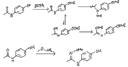 Solved I have received conflicting answers to the following | Chegg.com