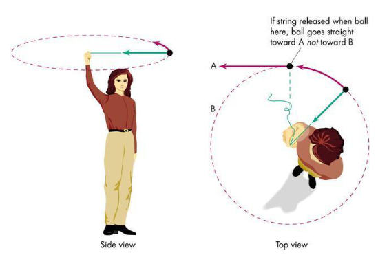 Solved The figure shows a person spinning a mass m attached | Chegg.com