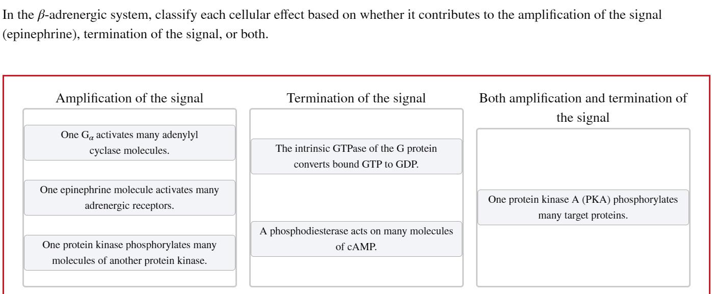 Solved the β-adrenergic system, classify each cellular | Chegg.com