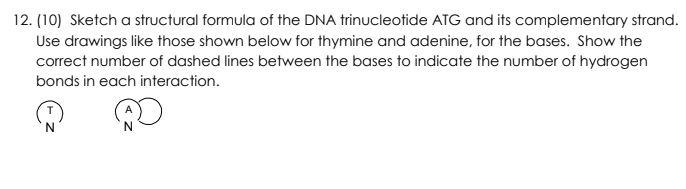 Solved Draw the structural formula for DNA trinucleotide ATG | Chegg.com