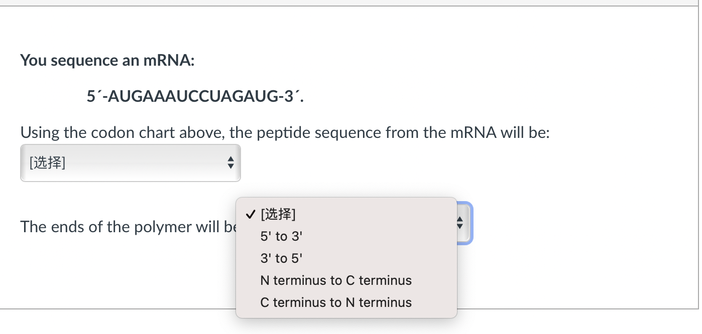 Solved You sequence an mRNA: 5'-AUGAAAUCCUAGAUG-3'. Using | Chegg.com