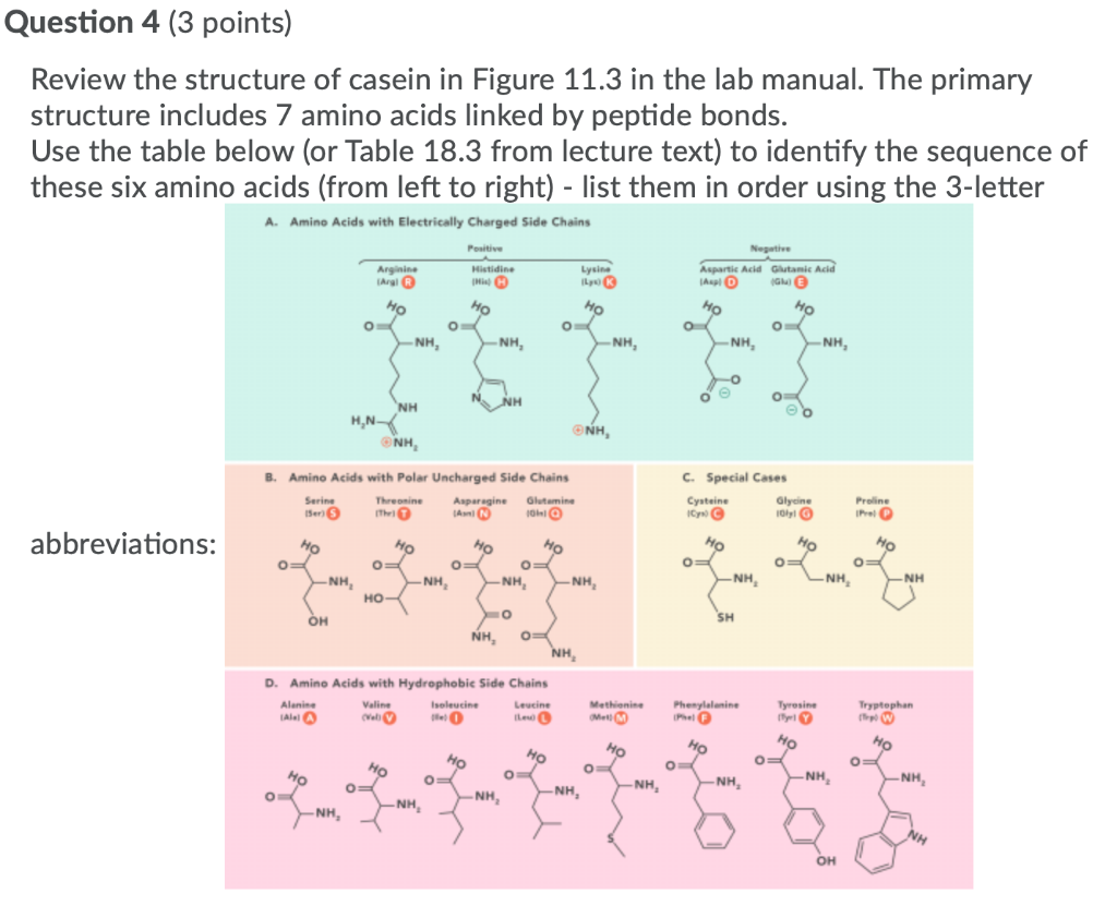 Solved Question 4 (3 points) Review the structure of casein | Chegg.com