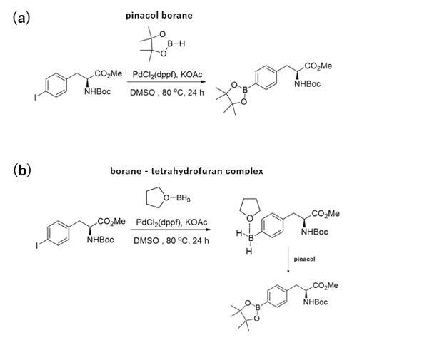Solved Dear Chegg Staffs When synthesizing a boron compound | Chegg.com