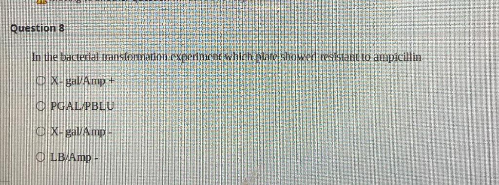 Solved Question 8 In the bacterial transformation experiment | Chegg.com