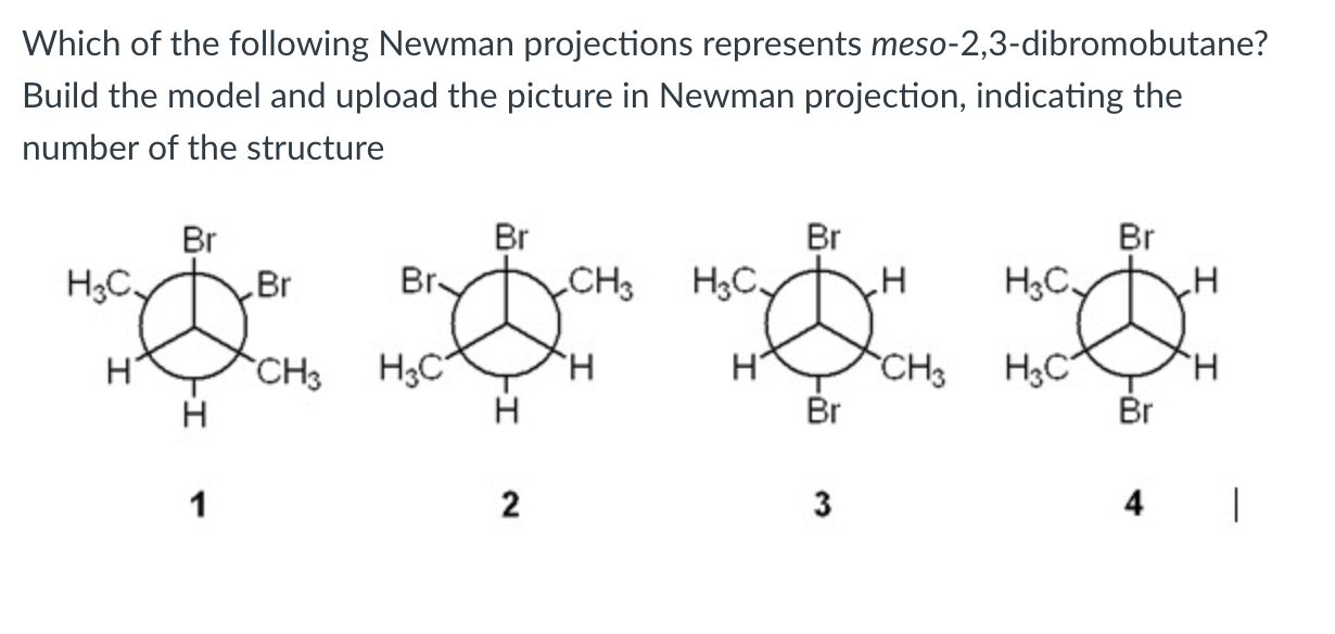 Solved Which of the following Newman projections represents | Chegg.com
