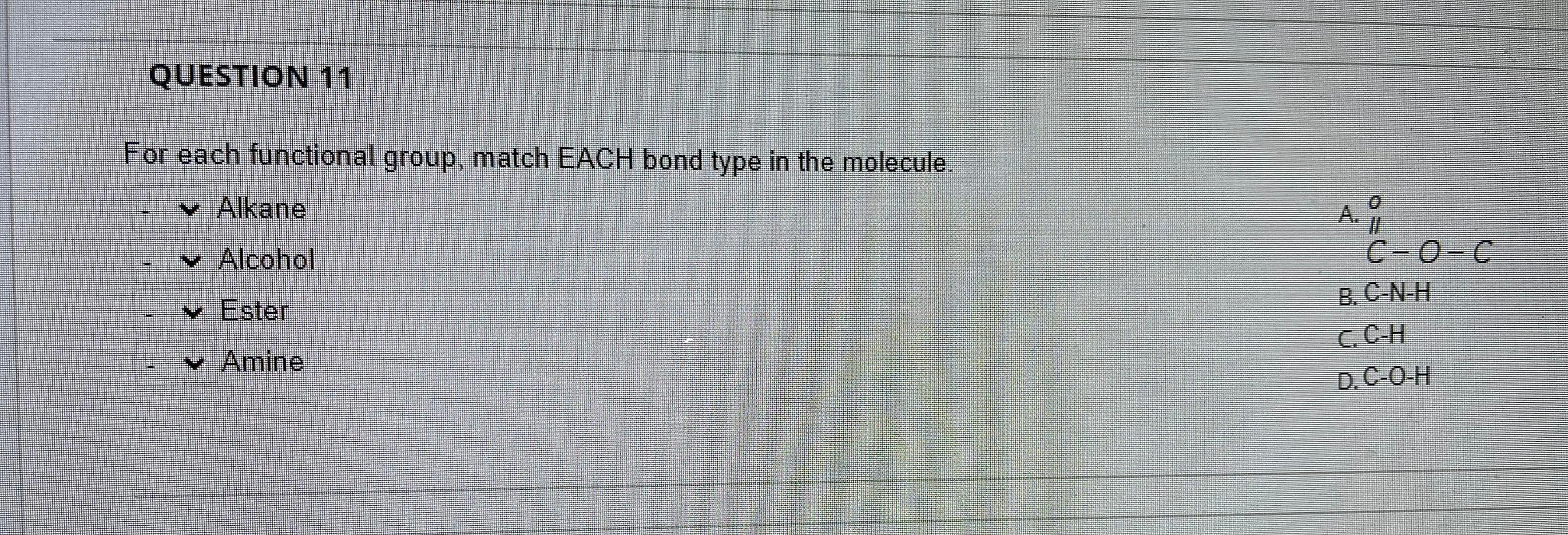 QUESTION 11 For each functional group, match EACH | Chegg.com