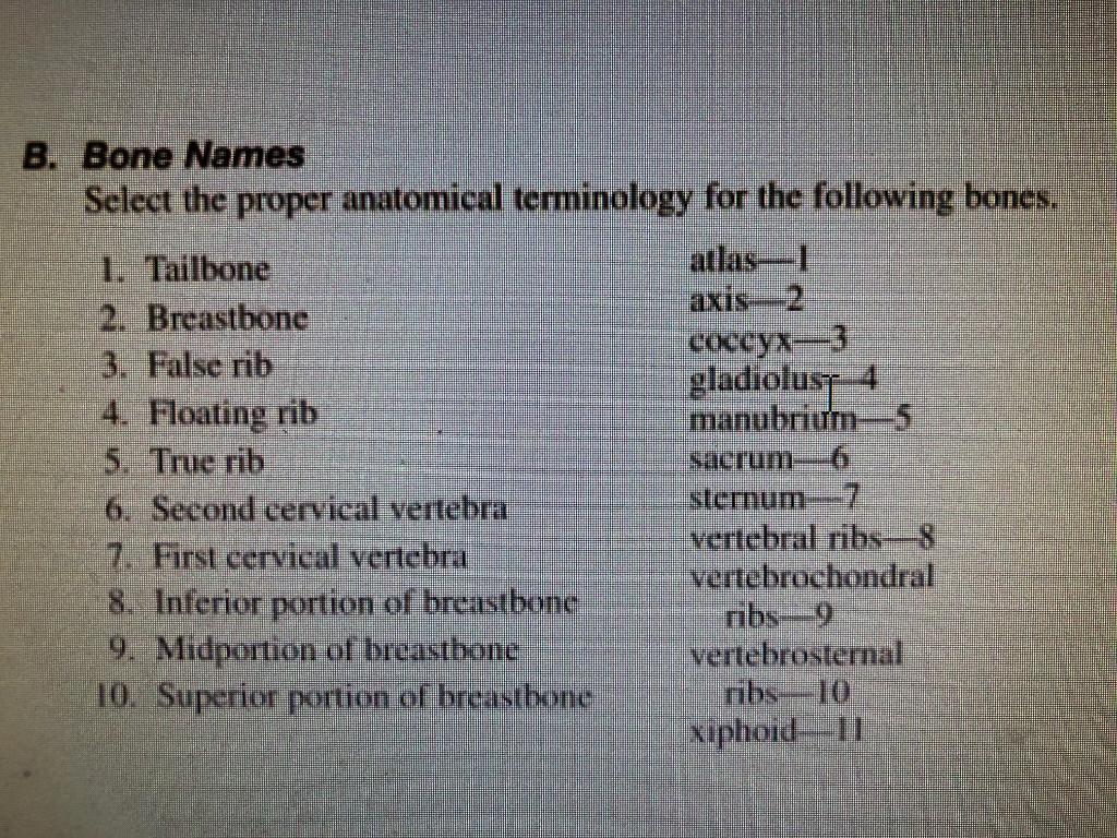 Solved B. Bone Names Select the proper anatomical | Chegg.com