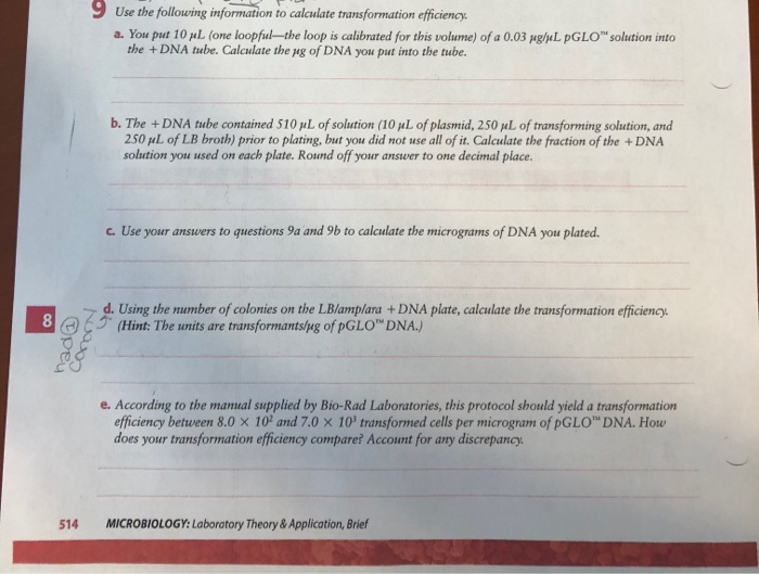 Solved This is based off of the pGLO lab. For some | Chegg.com
