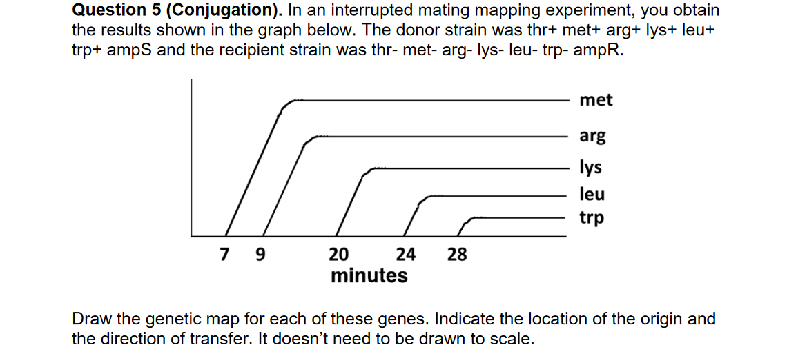 Solved Question 5 (Conjugation). In an interrupted mating | Chegg.com