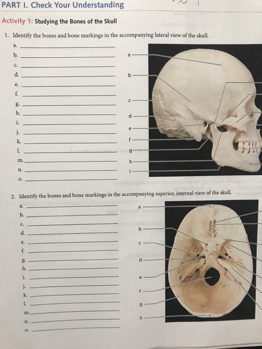Solved PART I. Check Your Understanding Activity 1: Studying | Chegg.com