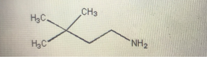 Solved CH3 H3C H3C NH2 | Chegg.com