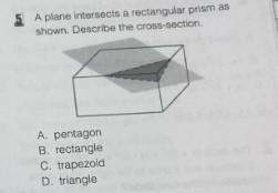 Solved A plane Intersectea rectangular prismas shown. | Chegg.com