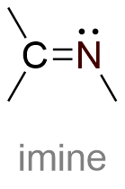 Solved Select all the statements that are True for the imine | Chegg.com