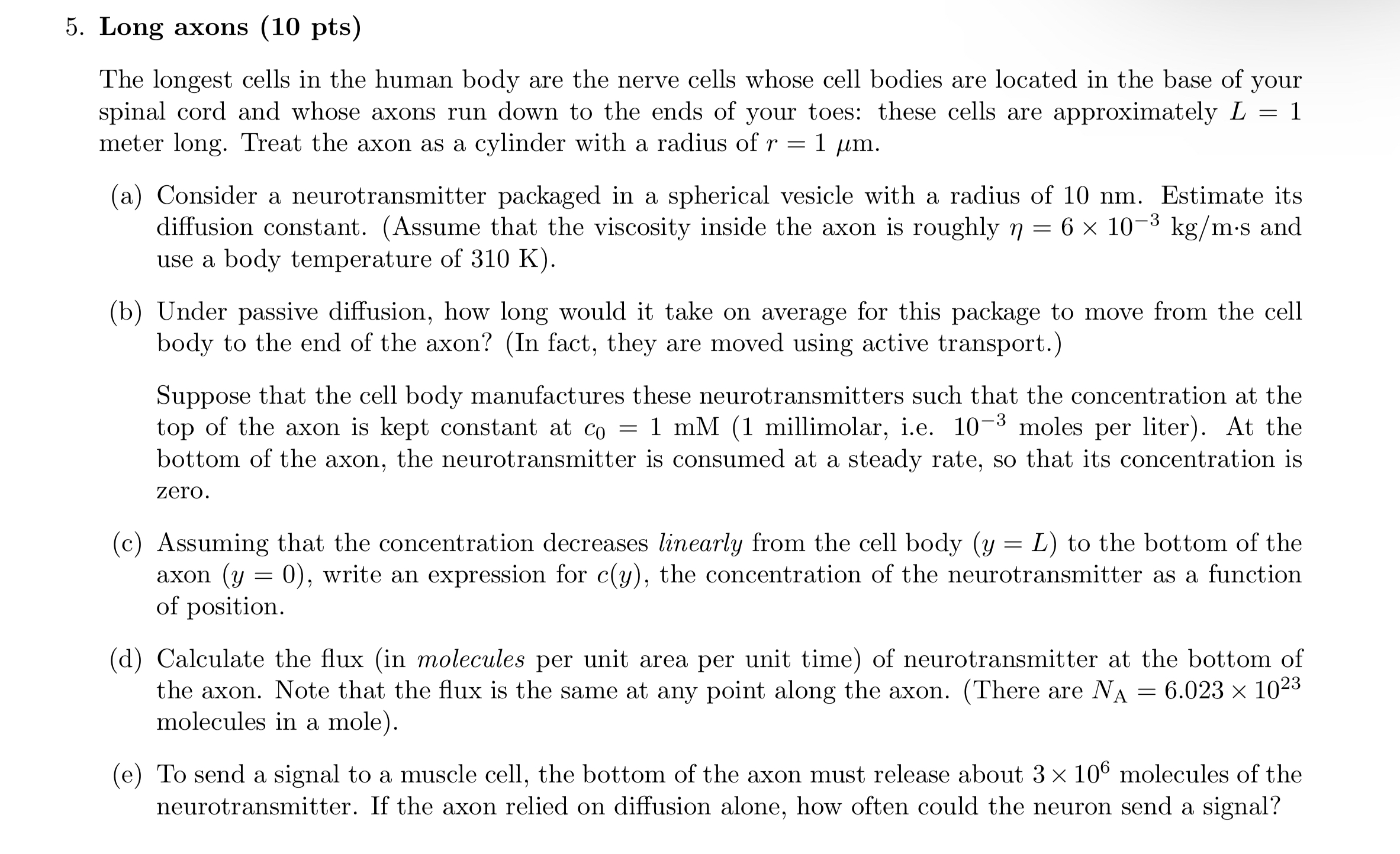Solved The longest cells in the human body are the nerve | Chegg.com