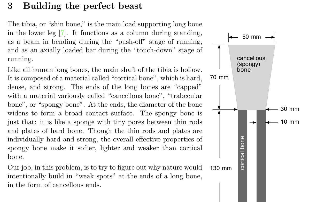 3 Building the perfect beast 50 mm cancellous | Chegg.com