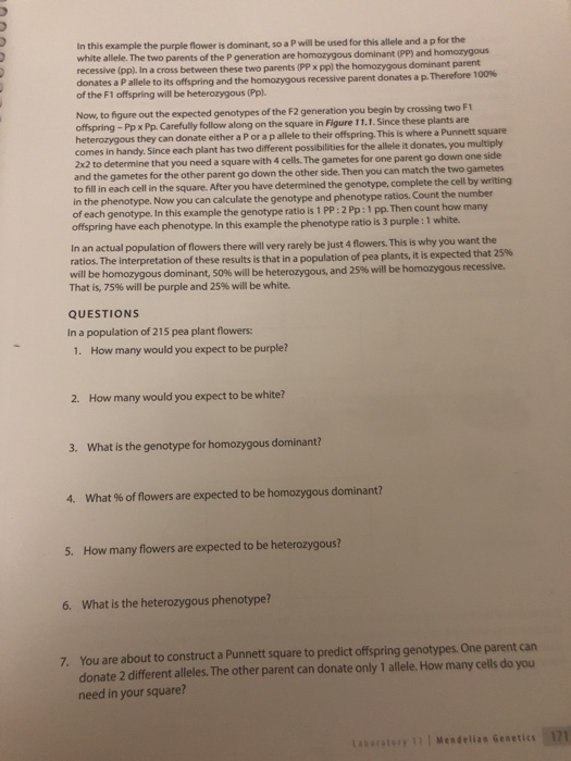 Solved: Investigation 2: Patterns Of Inheritance - Complet... | Chegg.com