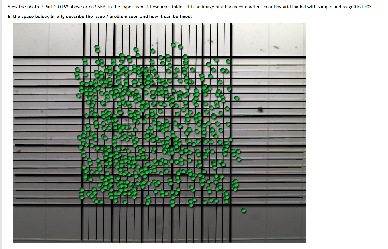 Solved View the photo, "Part 3 Q16" above or on SAKAI in the | Chegg.com
