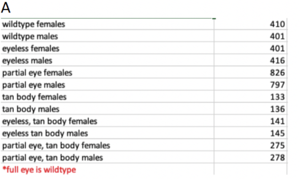 Solved Data set A summarizes F2 numbers from an F1 cross | Chegg.com