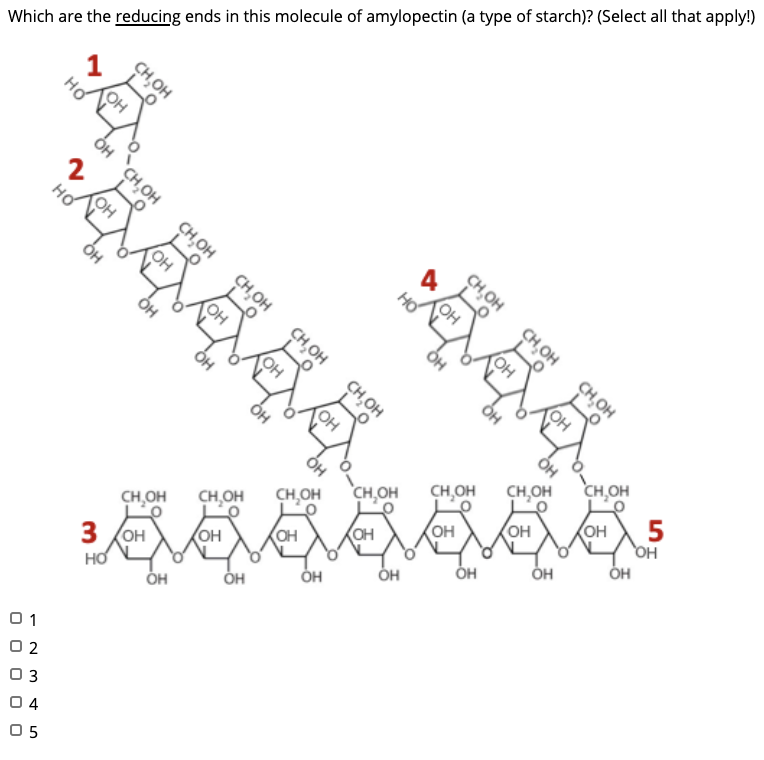 Solved Which are the reducing ends in this molecule of | Chegg.com