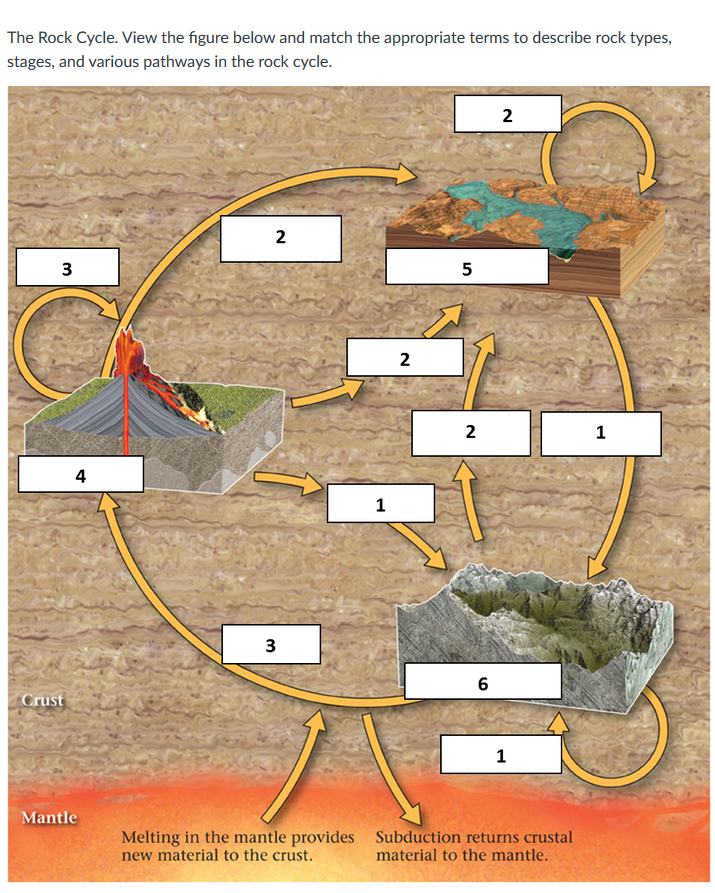 Solved The Rock Cycle. View the figure below and match the | Chegg.com