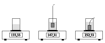 Solved A beaker of water stands on a scale, and the scale | Chegg.com