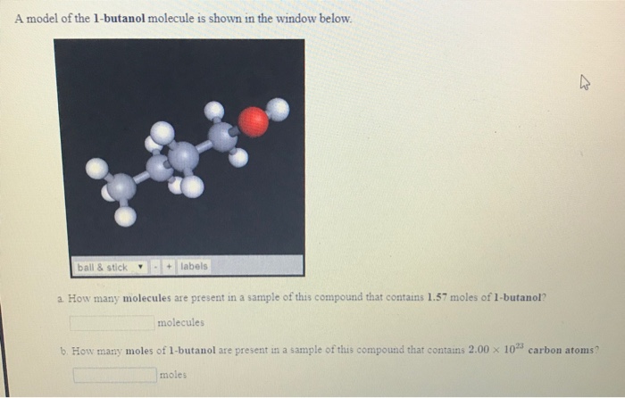 Solved A model of the 1-butanol molecule is shown in the | Chegg.com