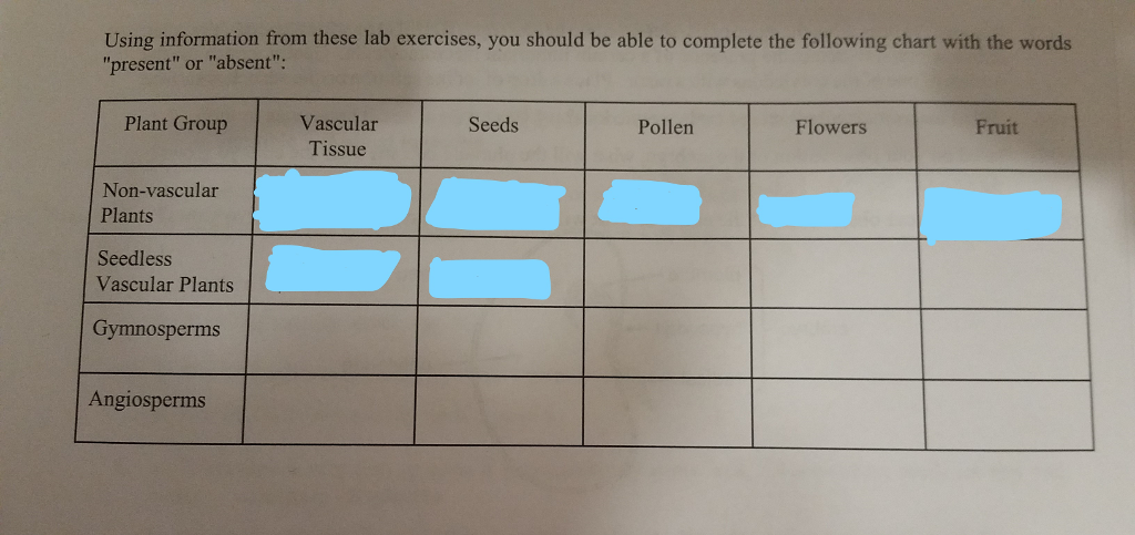 Solved Complete the following chart with the words "present" | Chegg.com