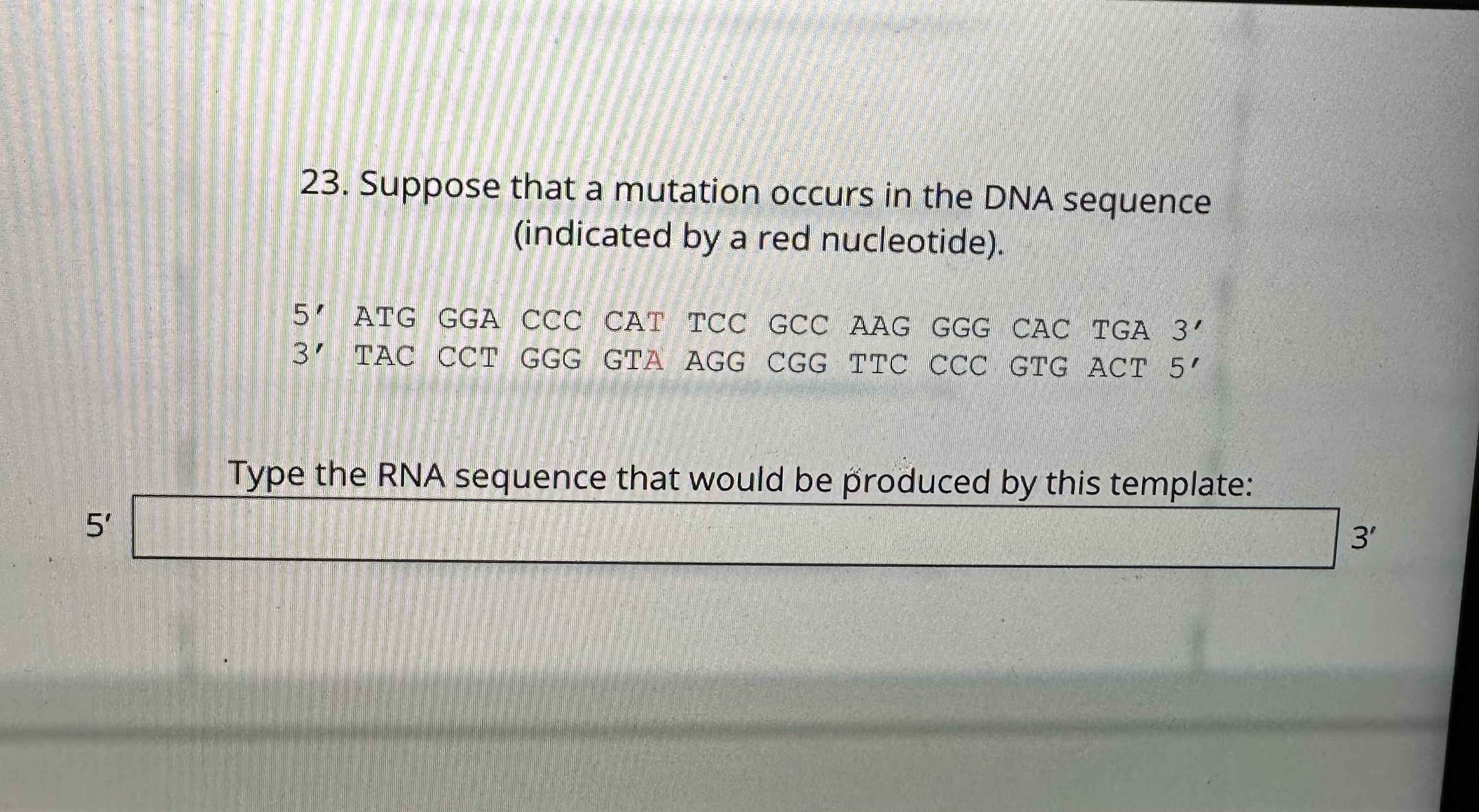 Solved 23. Suppose that a mutation occurs in the DNA | Chegg.com