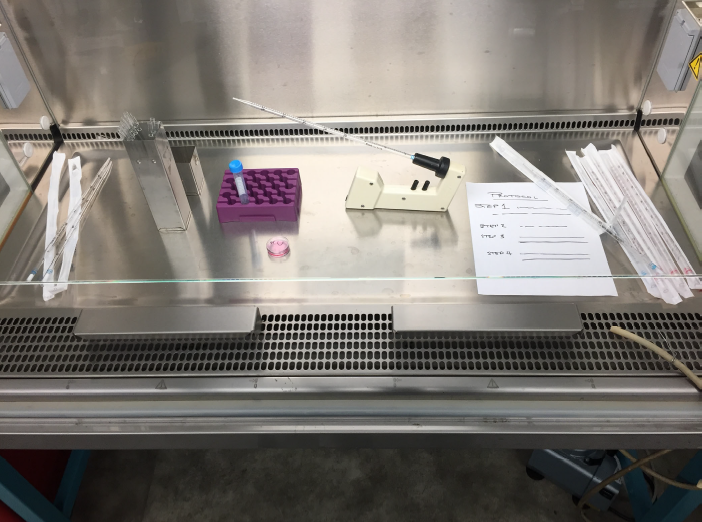 Solved In the image below, identify three specific examples | Chegg.com